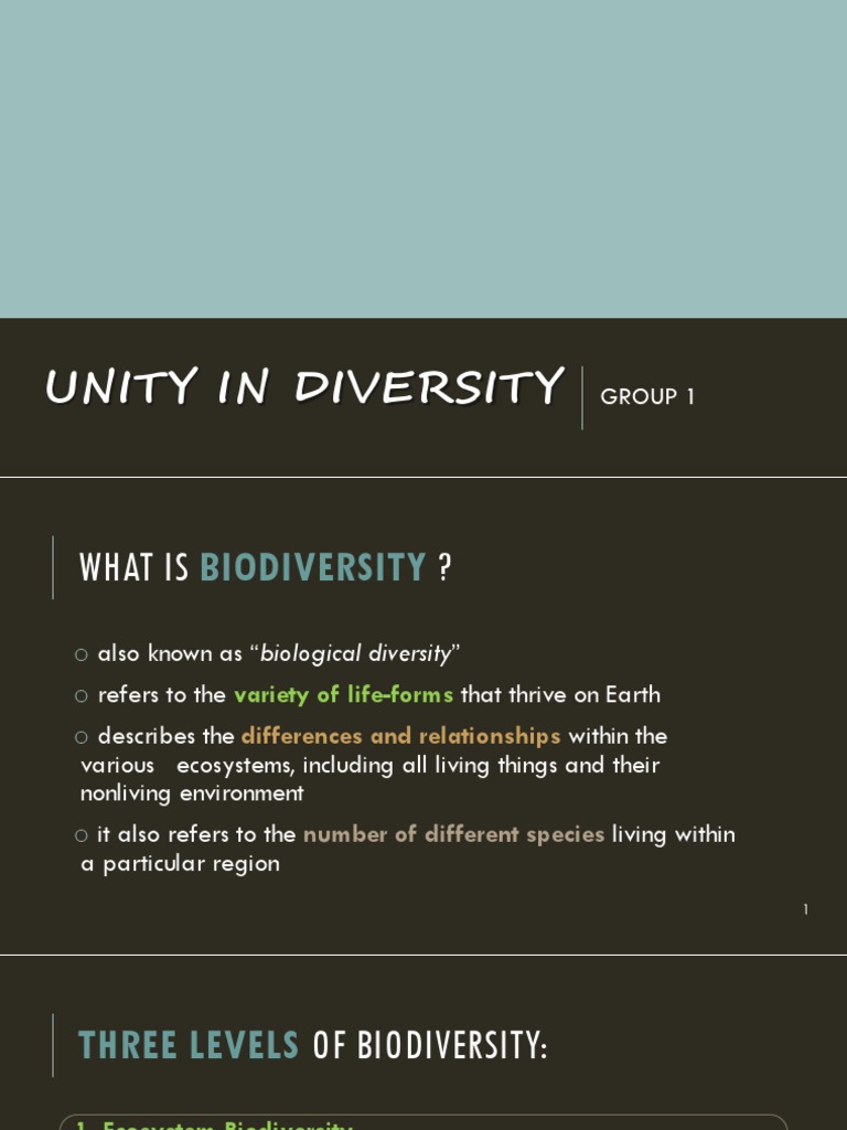 Unity in Diversity: Group 1 | PDF | Habitat Destruction | Biodiversity