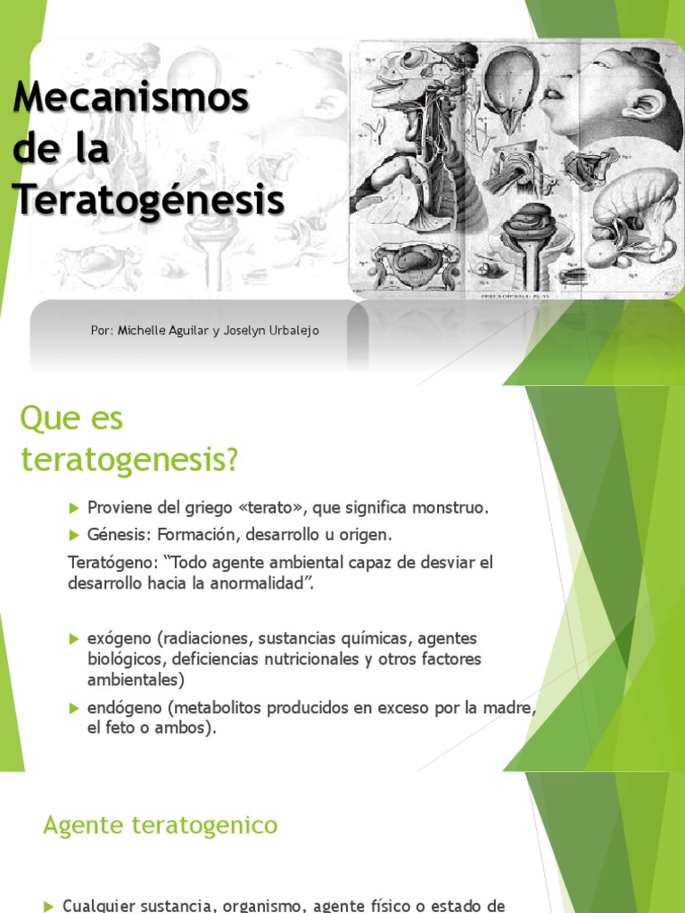 Teratogenesis | PDF | El embarazo | Biología