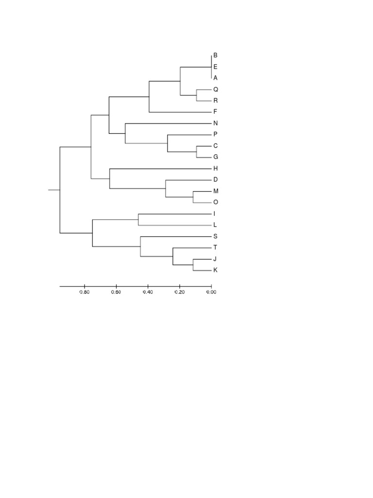 Mega Tree | PDF
