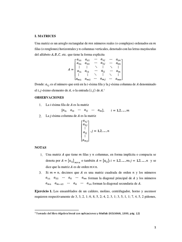 MATRICES | PDF | Matriz (Matemáticas) | Entero