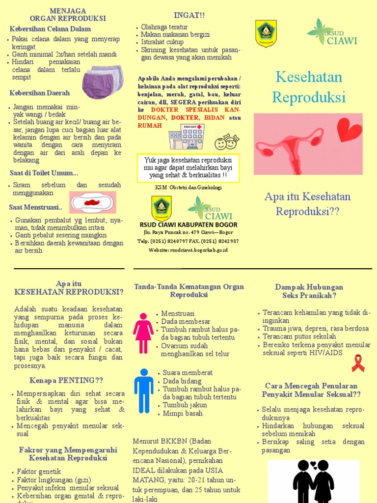 Leaflet Kesehatan Reproduksi | PDF