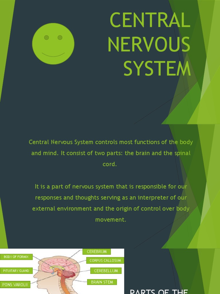 Natsci Powerpoint | PDF | Central Nervous System | Nervous System