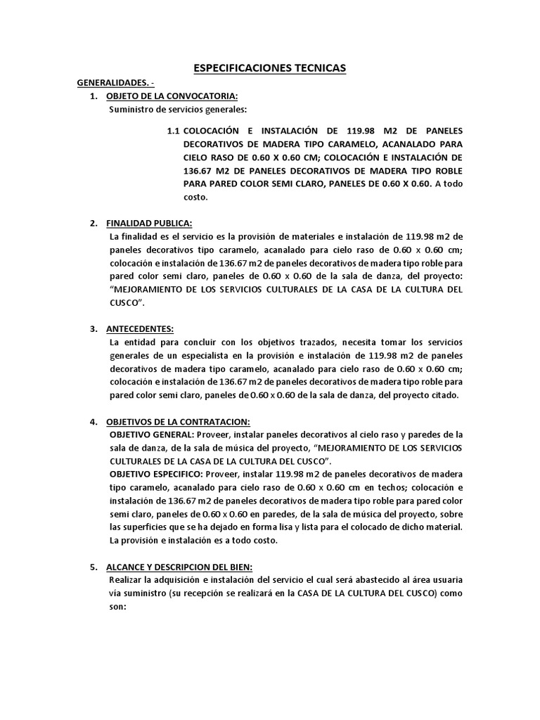 Modelo de Un TDR para Un Servicio | PDF