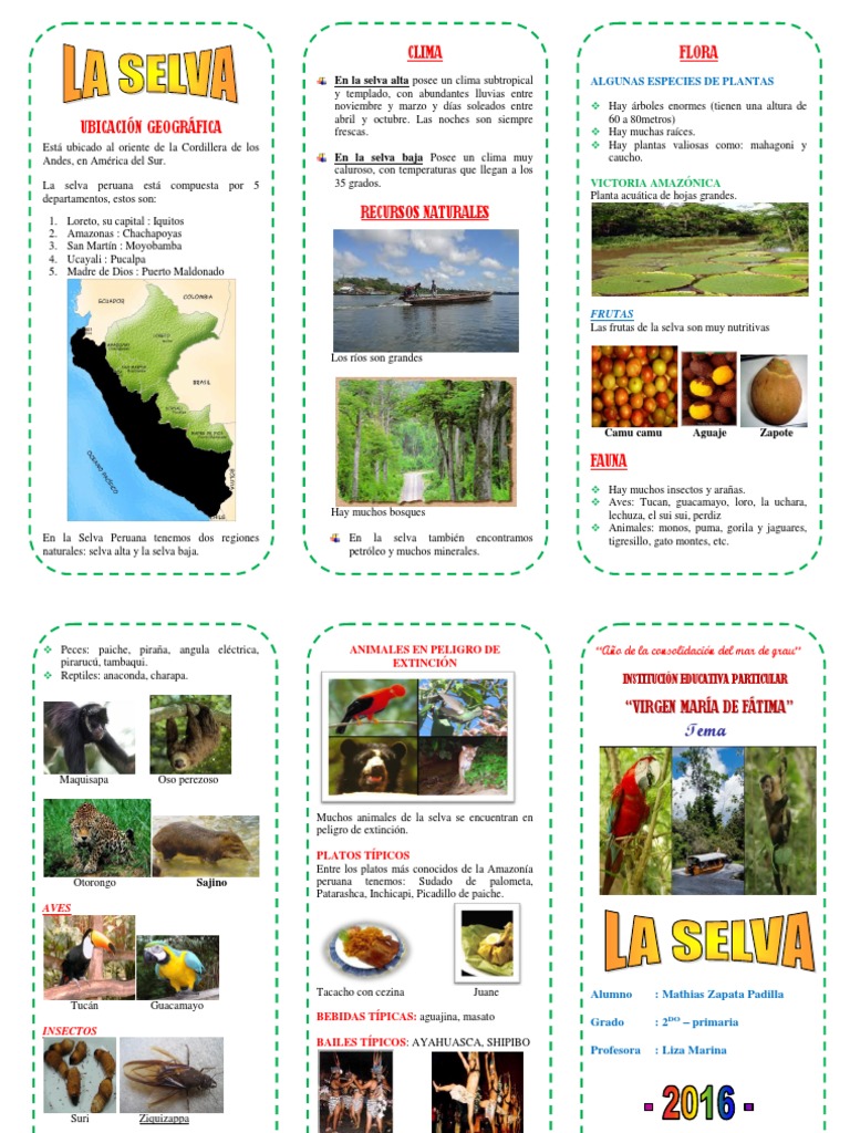 Triptico Selva Peruana | PDF | Selva amazónica | Selva