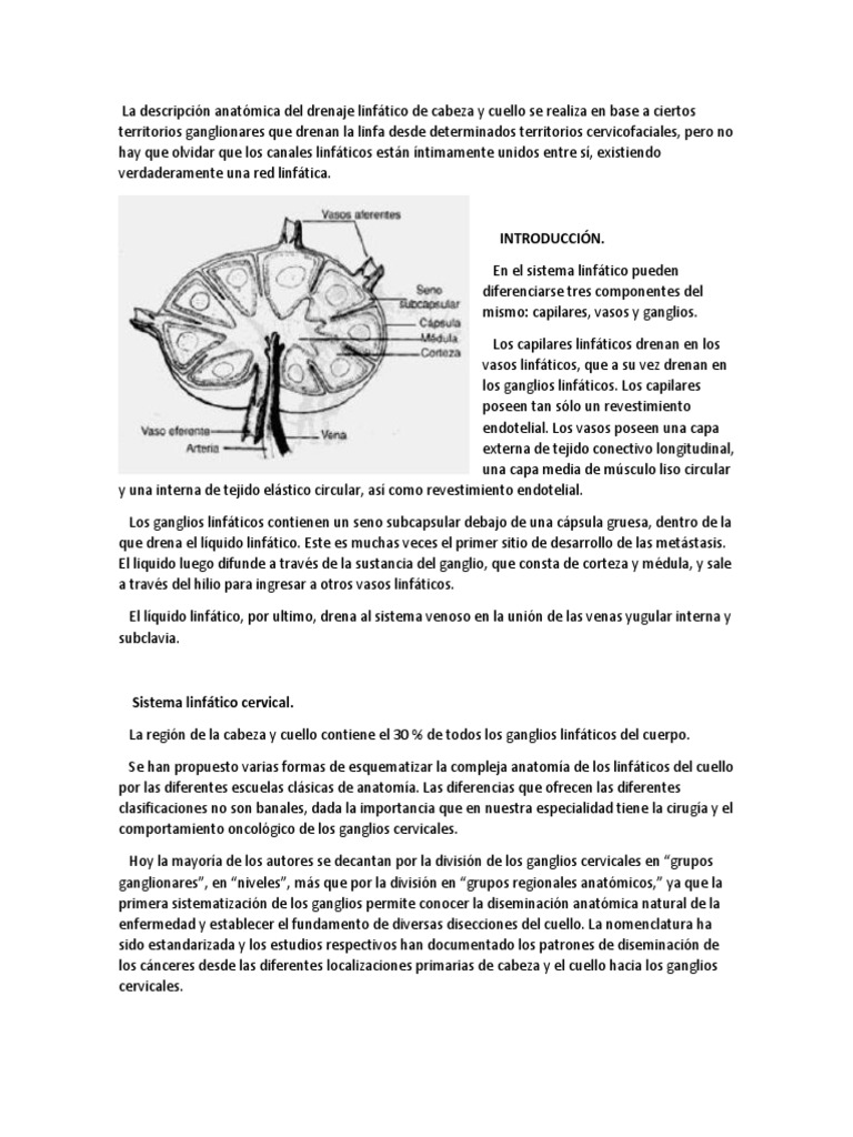 Circulo Ganglionar Pericervical | PDF | Sistema linfático | Ganglio ...