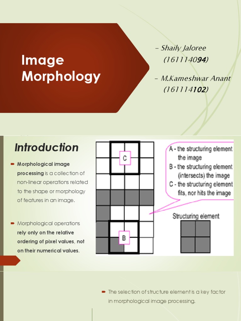 Image Morphology | PDF | Electrocardiography | Image Processing