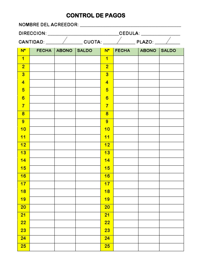Control de Pagos | PDF