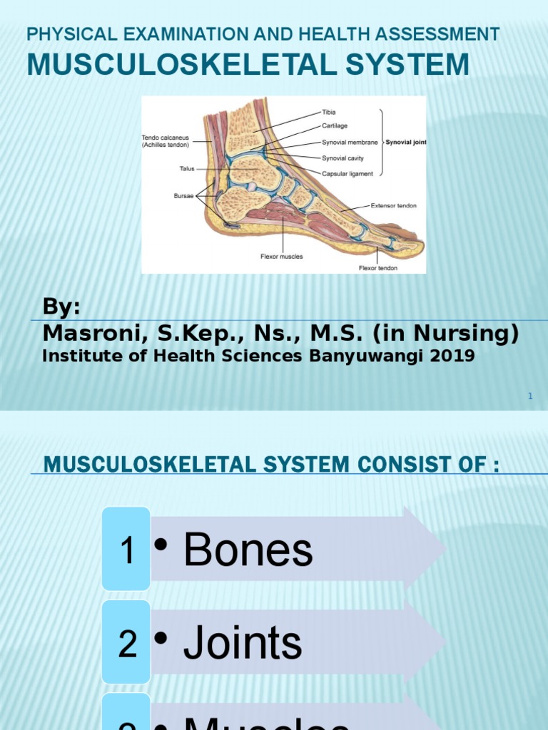 Musculoskeletal System: By: Masroni, S.Kep., NS., M.S. (In Nursing ...