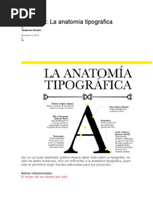 Anatomía De Las Letras Anatomía Tipográfica | Envato Tuts+