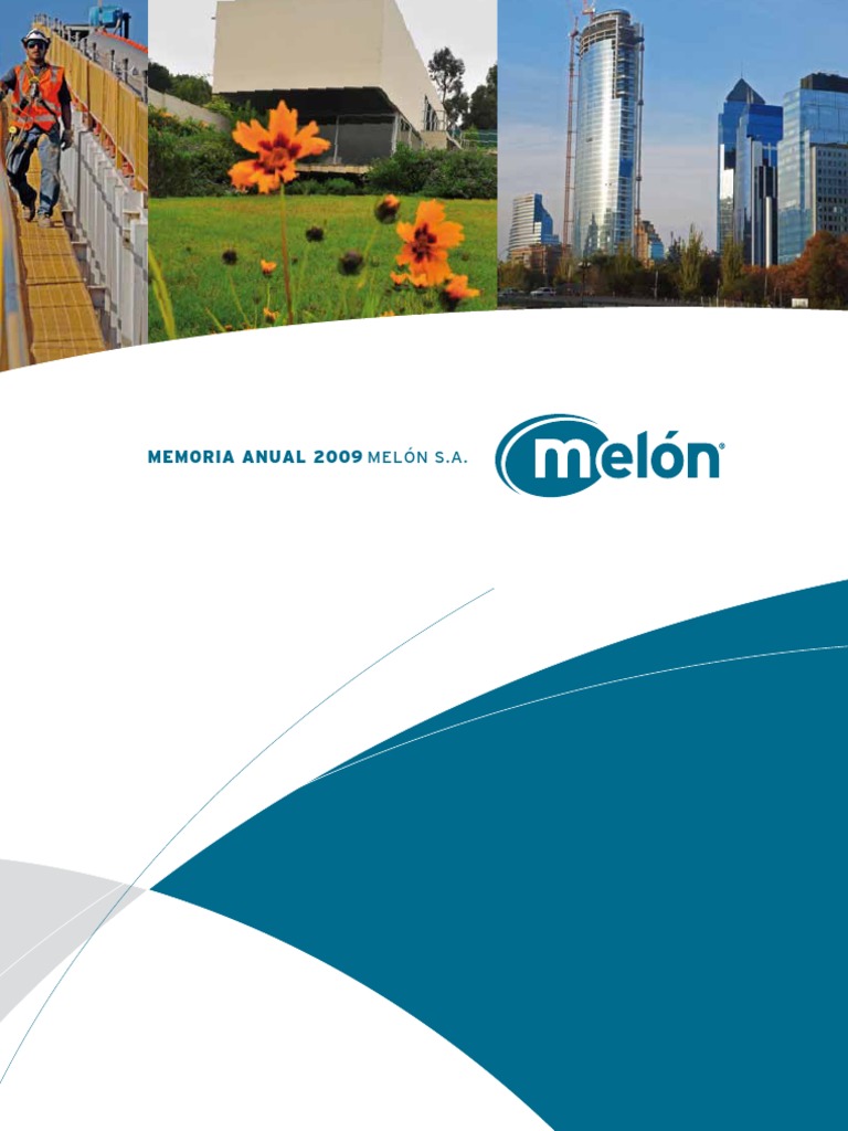 Análisis de la situación financiera y operacional de Melón S.A. en el ...