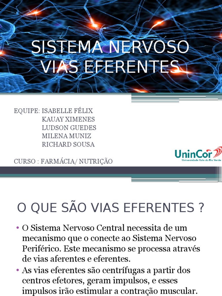 Sistema Nervoso Vias Eferentes Pdf Nervo Neurônio Motor