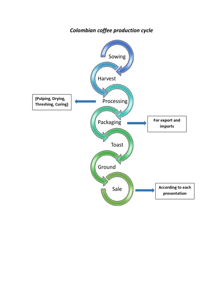 Colombian Coffee Production Cycle: Sowing | PDF