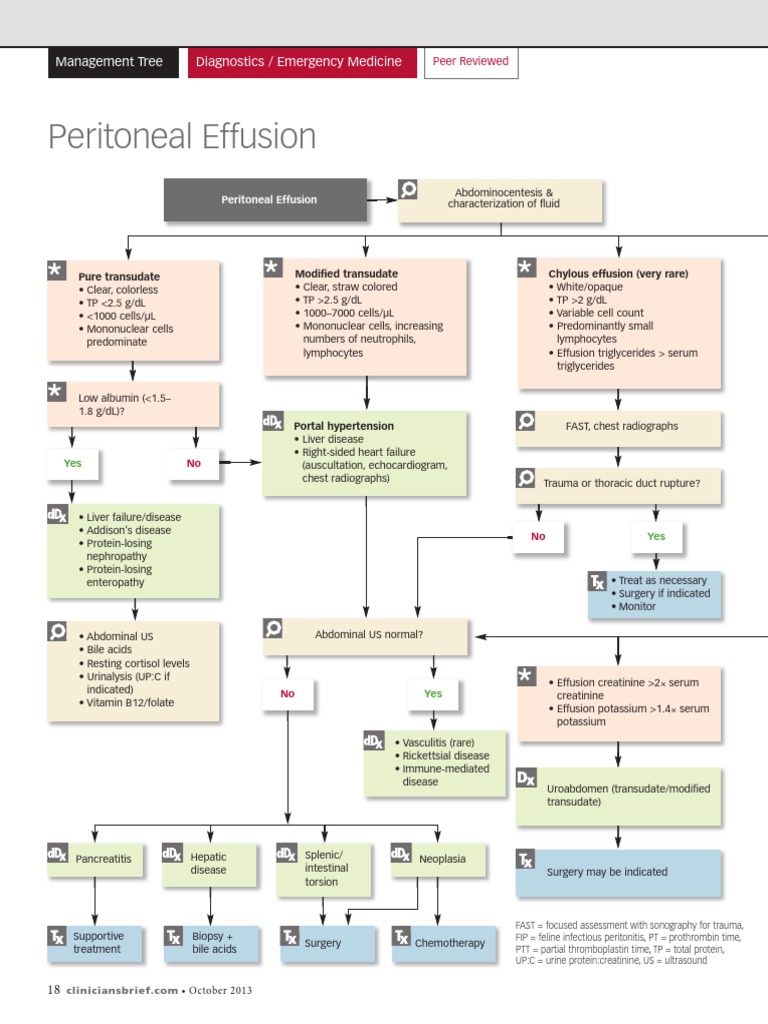 Algoritmo Peritoneal Effusion | PDF | Liver | Blood Plasma