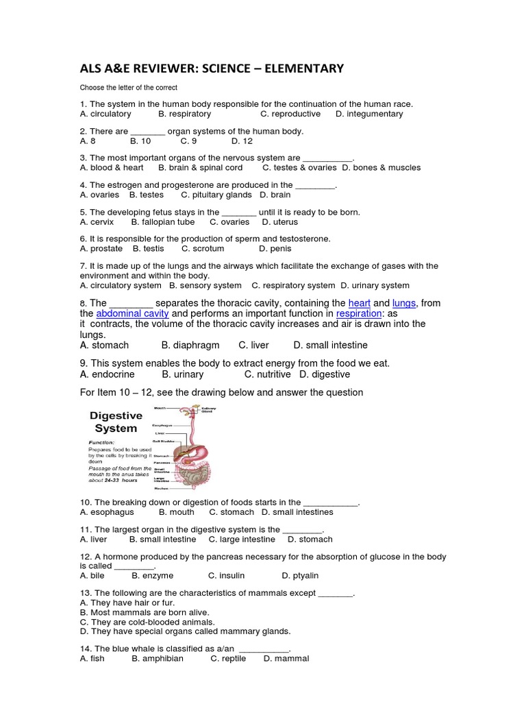 ALS A&E REVIEWER: SCIENCE – ELEMENTARY | PDF | Central Nervous System ...