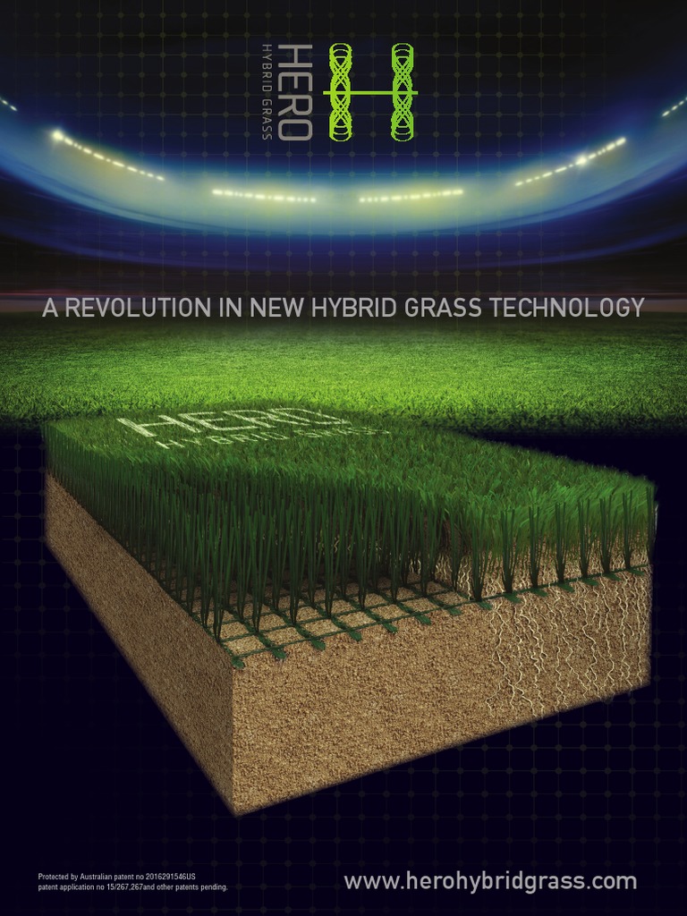 Hybrid Turf | PDF | Sports | Nature