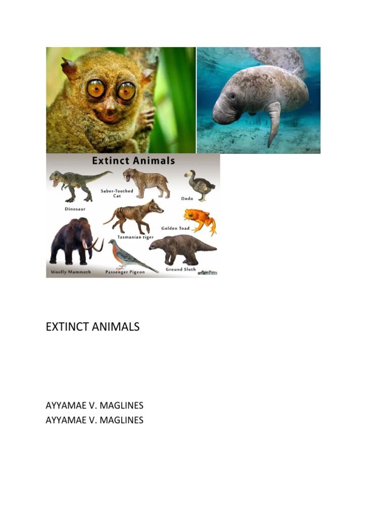 Extinct Animals Overview | PDF