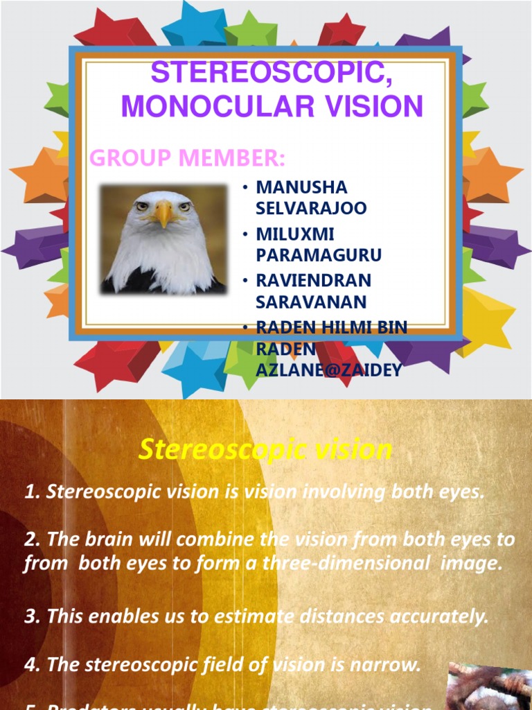 Science Presentation (Streocopic and Monocular Vision) | PDF | Self ...