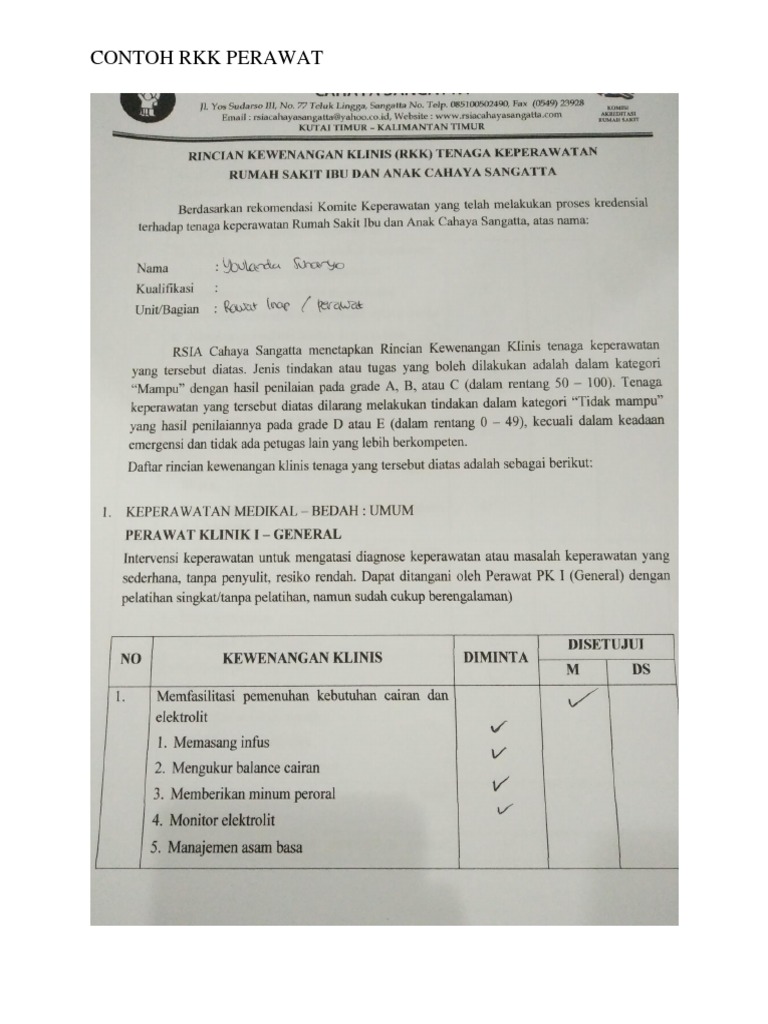 Contoh RKK untuk Perawat Profesional | PDF