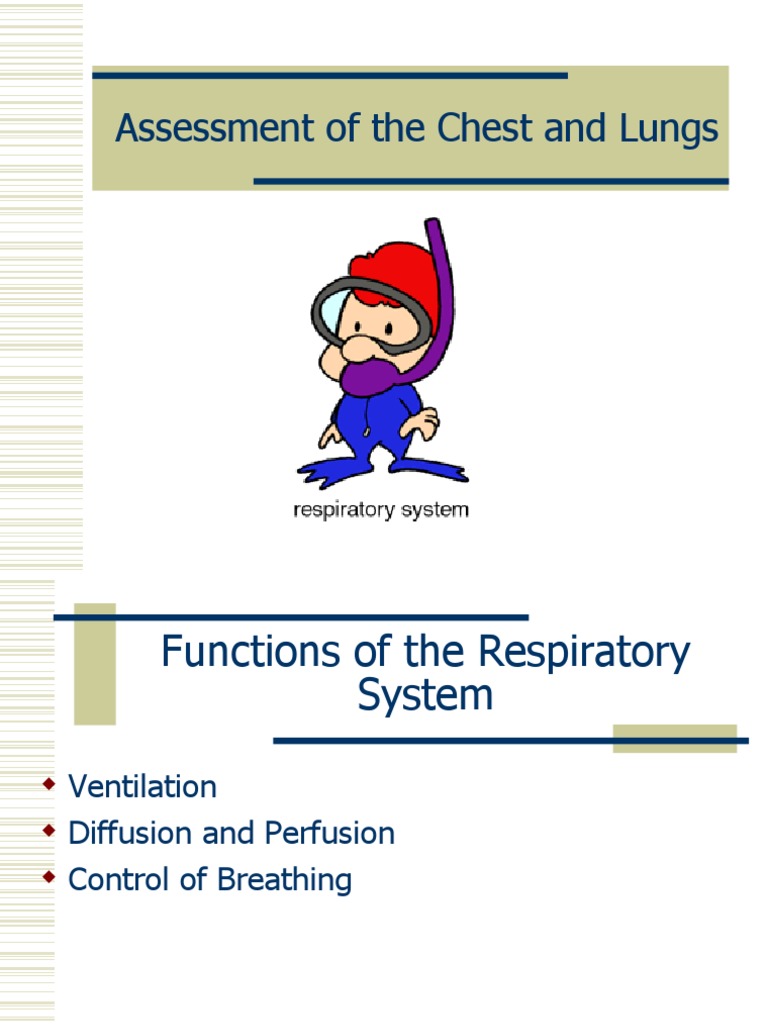 Chest and Lung Assessment Guide | PDF | Respiratory Tract | Respiratory ...