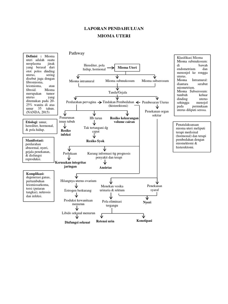 LP Mioma Uteri Mapping | PDF