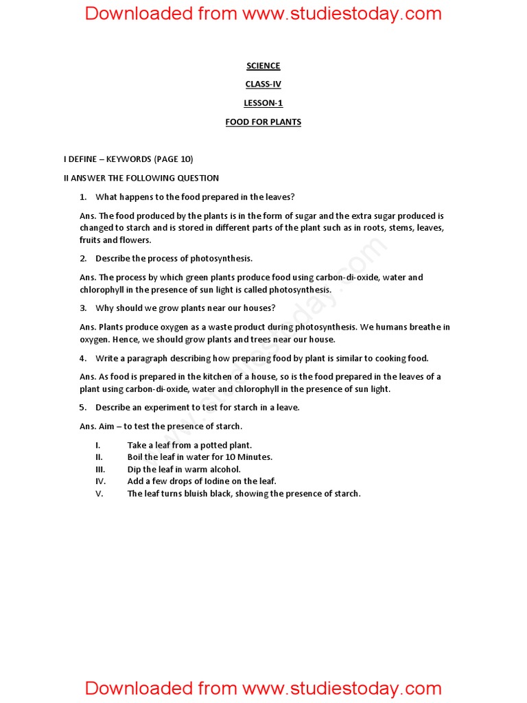 CBSE Class 4 Science Food For Plants | PDF