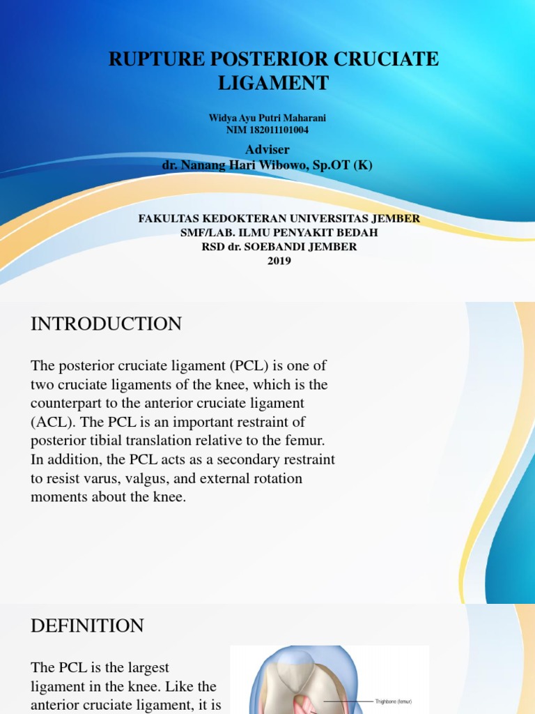 PCL Injury: Mechanisms and Management | PDF | Knee | Musculoskeletal System