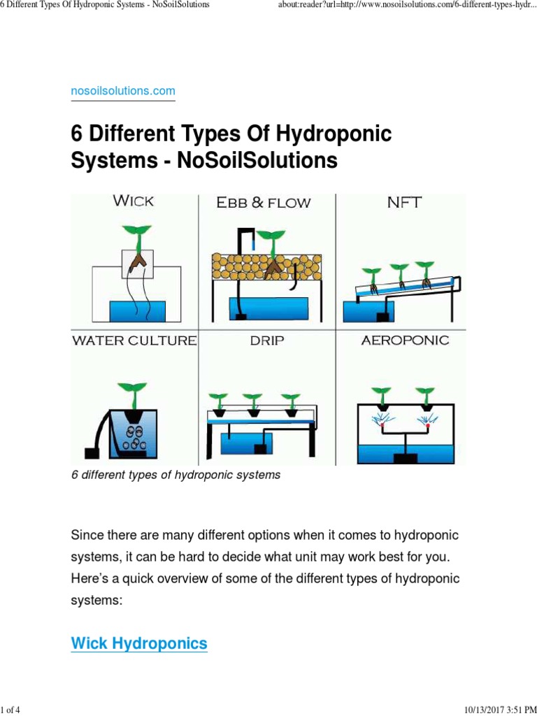 6 Different Types of Hydroponic Systems - NoSoilSolutions | PDF ...