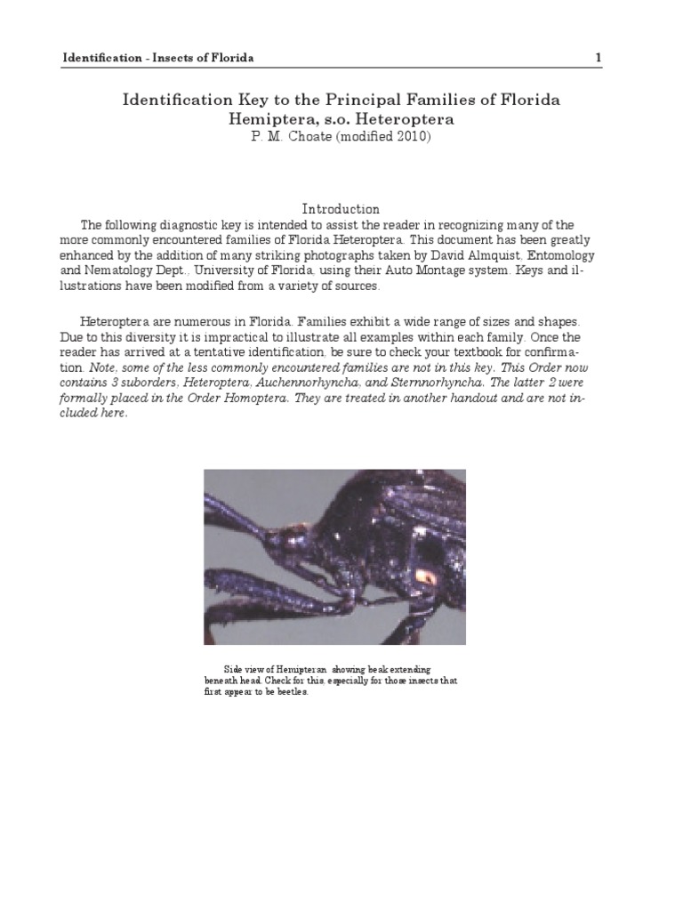 Florida Heteroptera Families | PDF | Hexapoda | Zoology