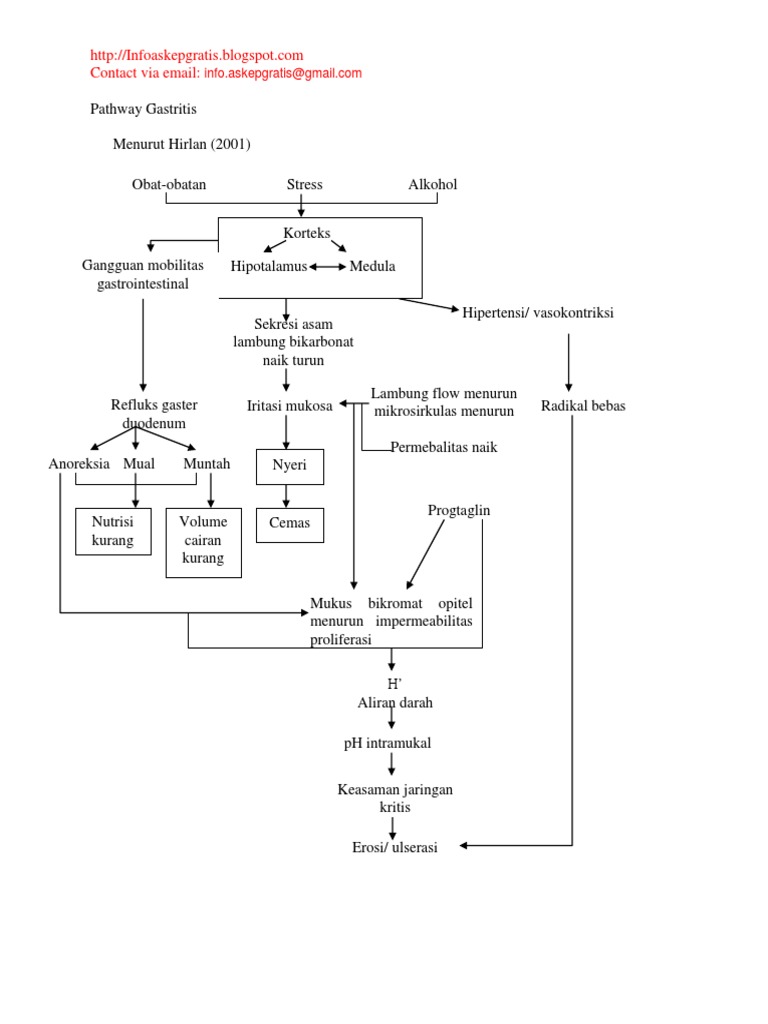 Pathway of Gastritis Analysis | PDF