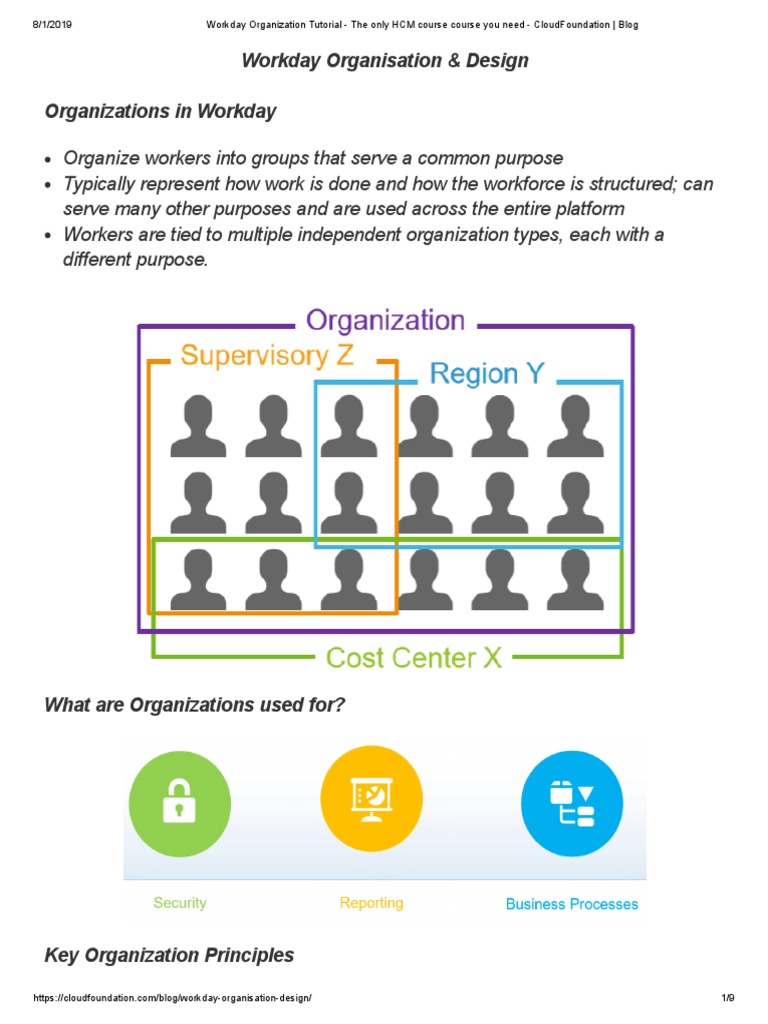 Workday Organization PDF | PDF | Hierarchy | Business Process