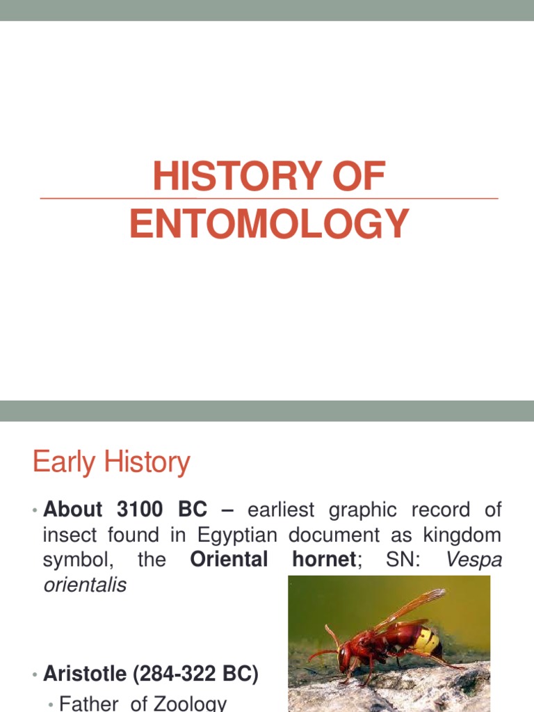 History of Entomology | PDF | Ddt | Taxonomy (Biology)