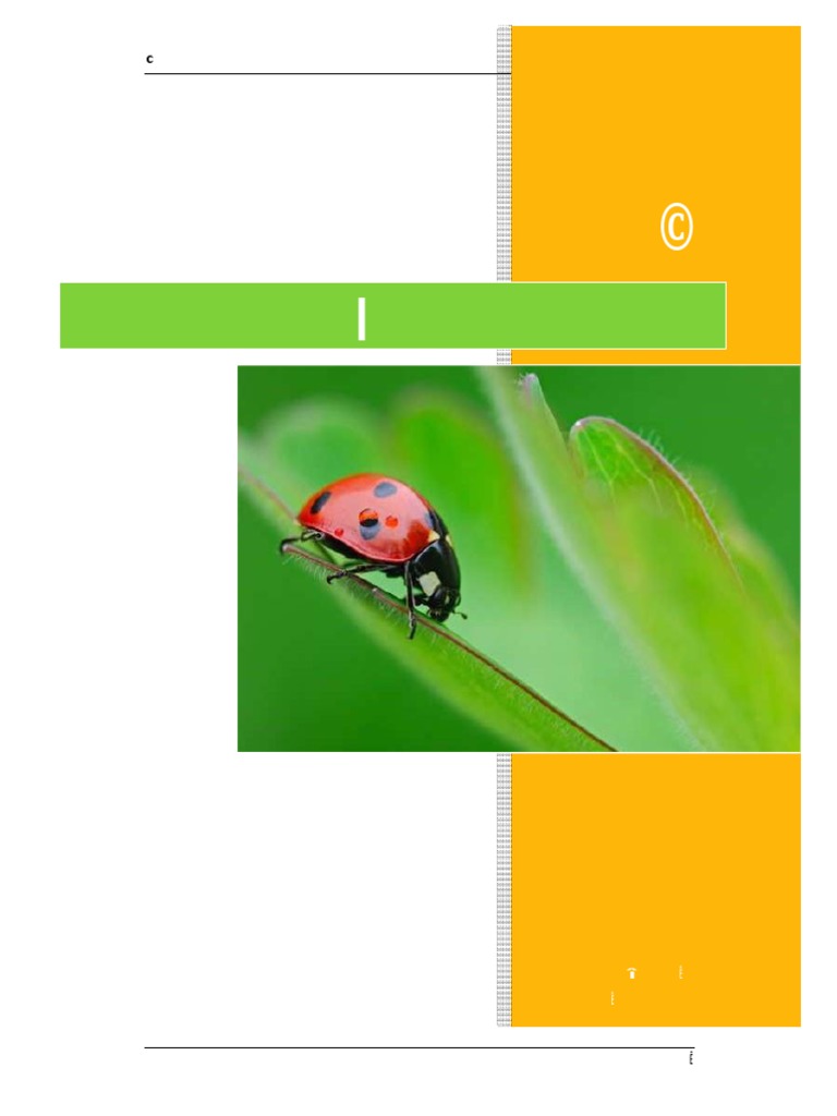 Belajar Ilmu Kanuragan | PDF