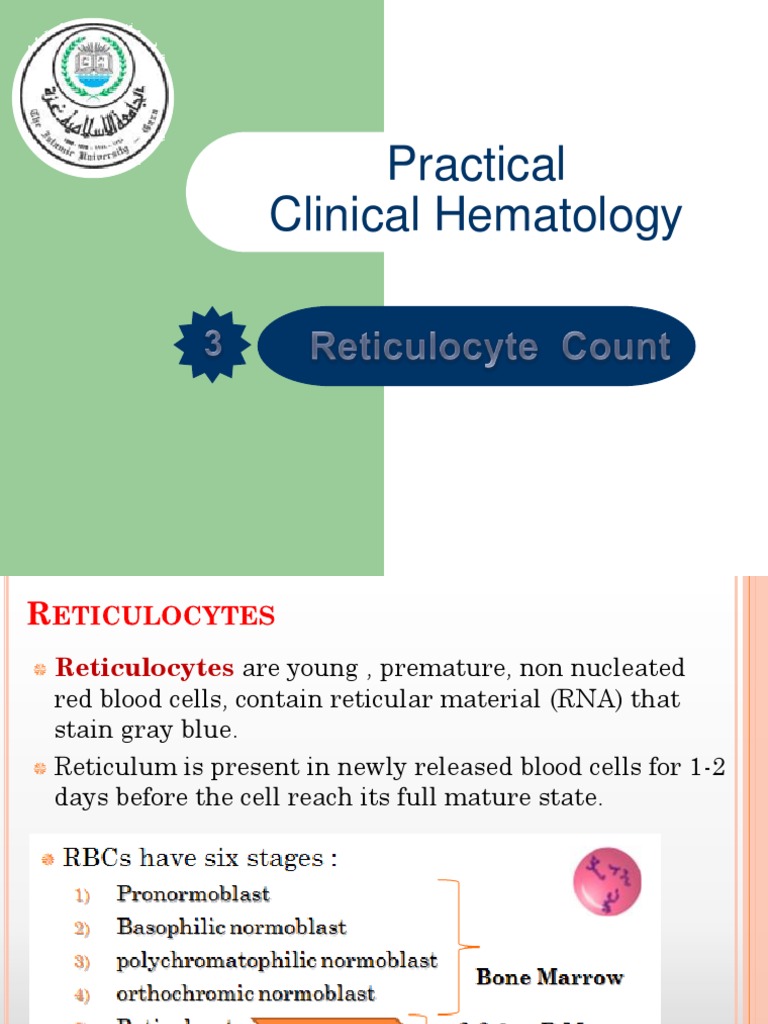 Reticulocyte Count | Anemia | Red Blood Cell