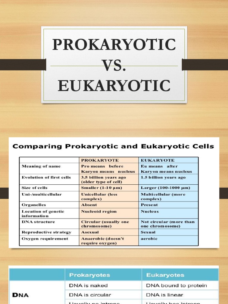 Prokaryotic VS. Eukaryotic | PDF | Cell (Biology) | Chloroplast