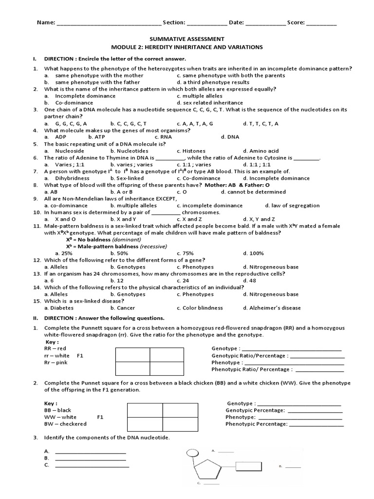 Summative Q1 Module 2 | PDF | Dominance (Genetics) | Genotype