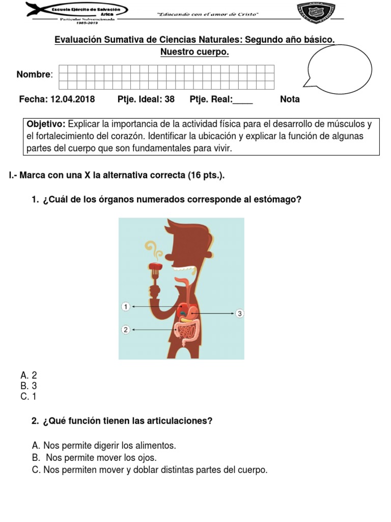 Prueba | PDF | Cuerpo humano | Hueso
