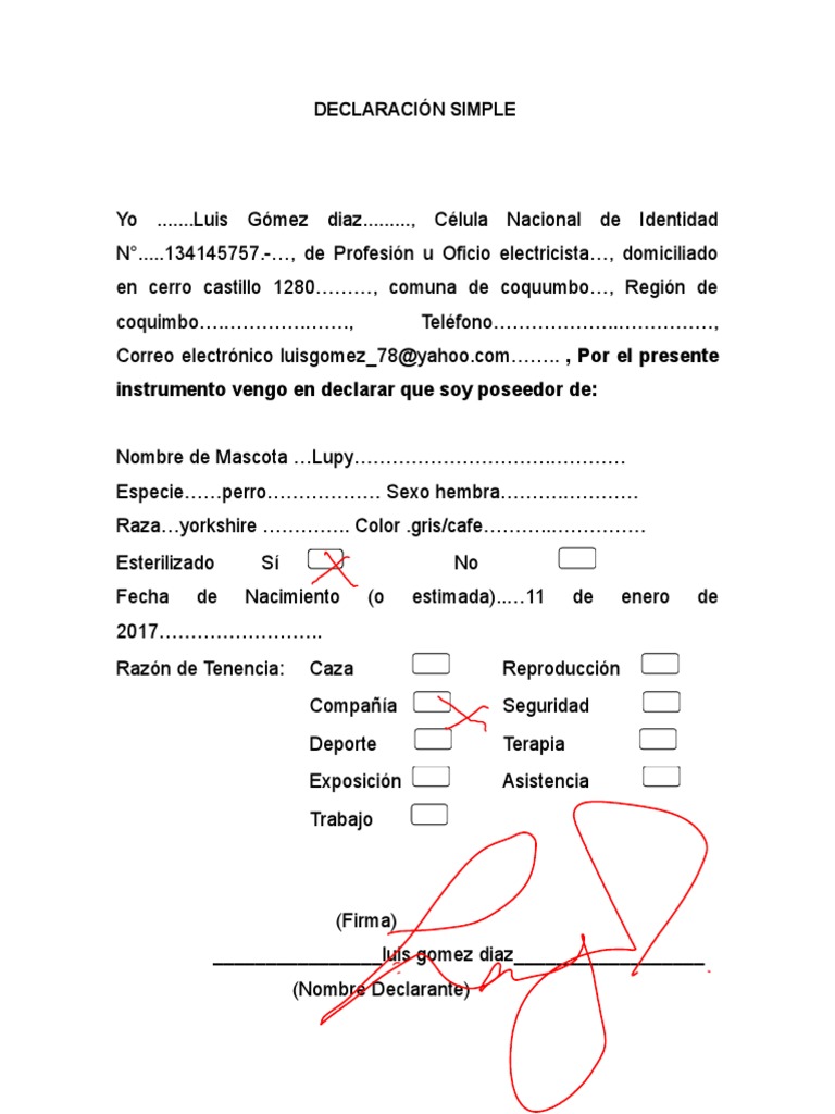 Declaracion Simple Poseedor | PDF