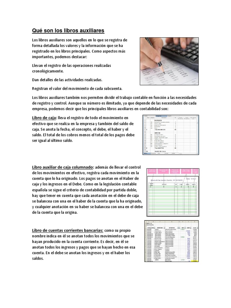 Libros Auxiliares en Contabilidad | PDF | Contabilidad | Business