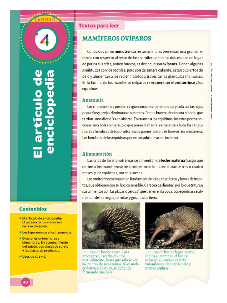 Articulo de Enciclopedia | PDF