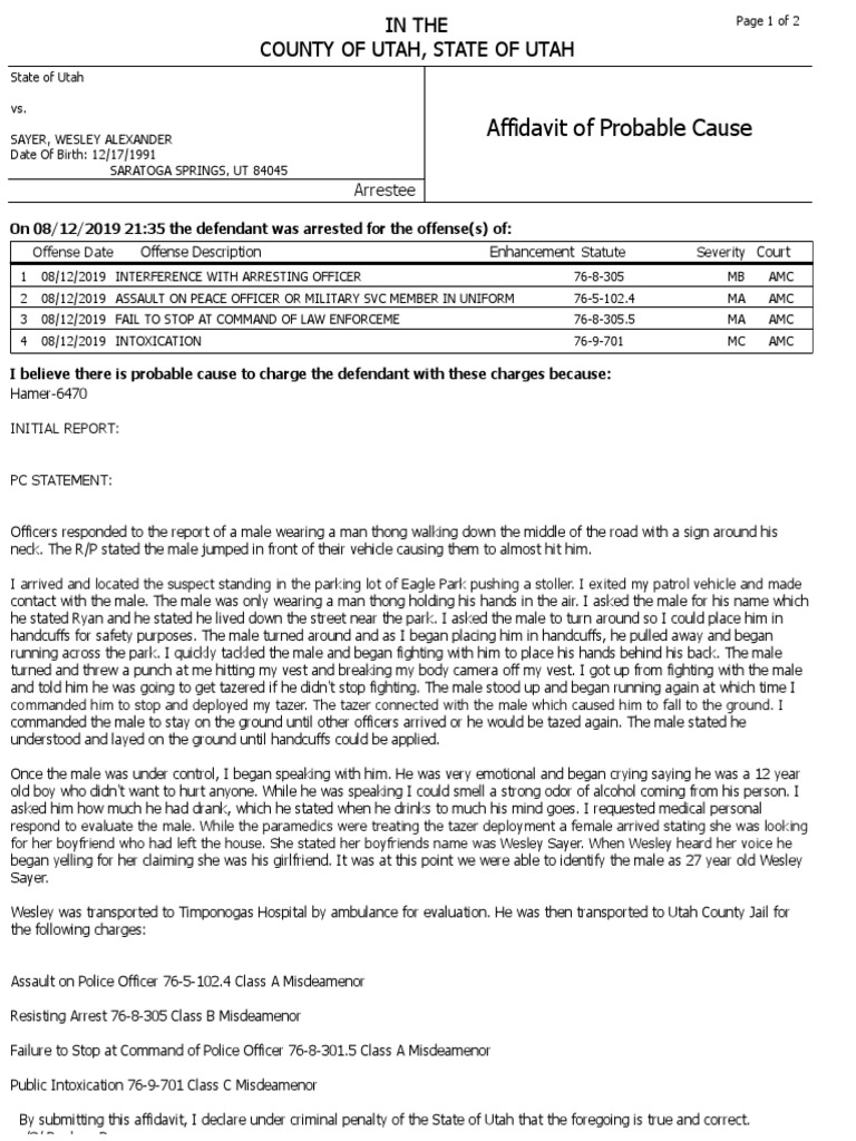 Wesley Sayer Probable Cause (PC) Statement | Arrest | National Security