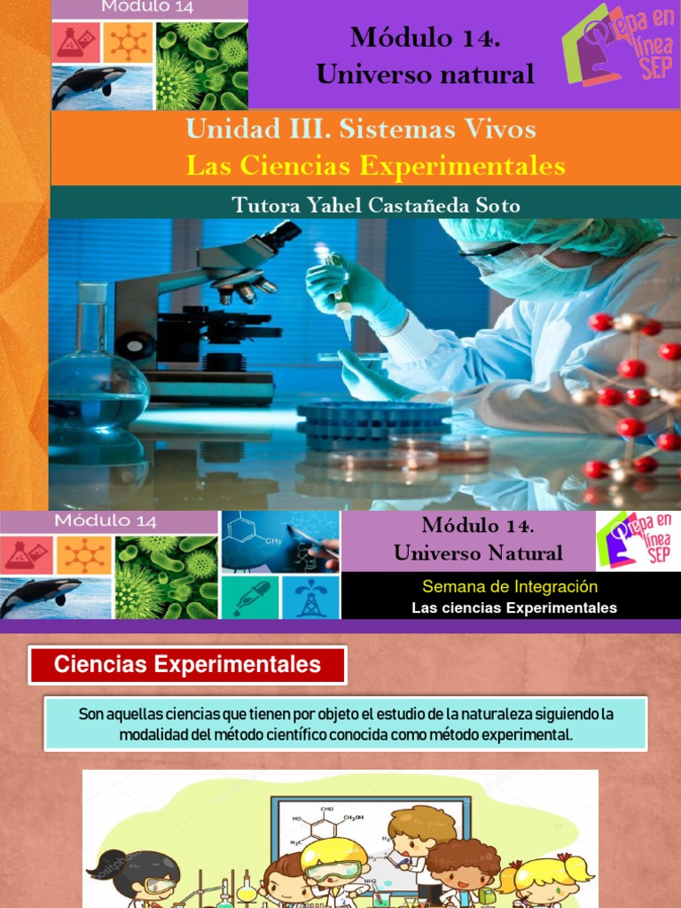 Las Ciencias Experimentales/Módulo 14 | PDF | Ciencias Naturales | Universo