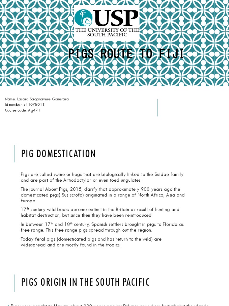 Pigs Route To Fiji | PDF | Wild Boar | Pig