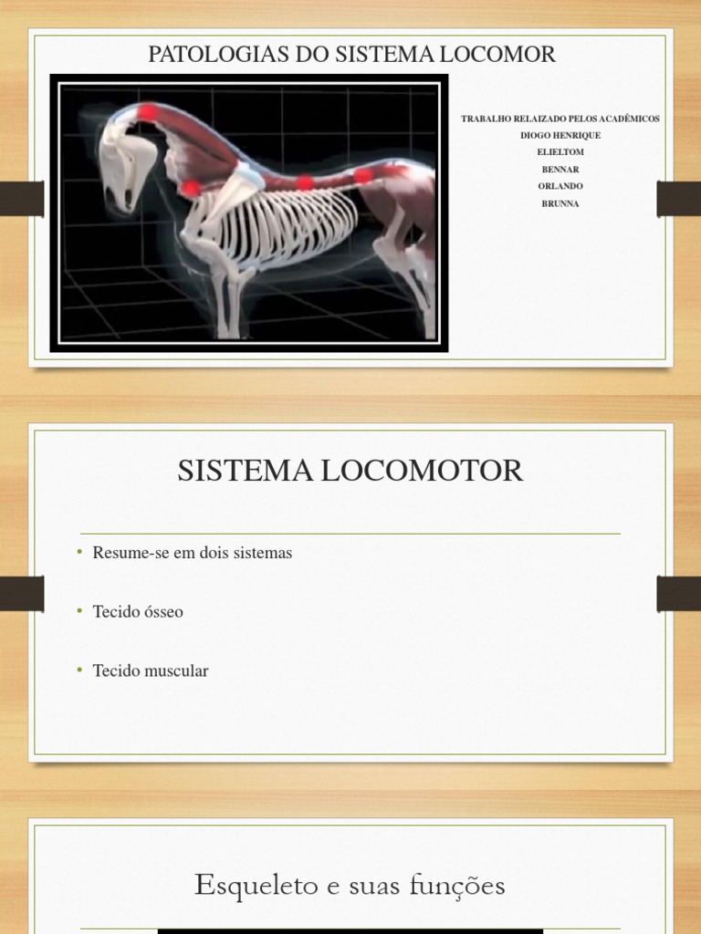 Pododermatite Interdigital em Cães | PDF | Osso | Remédio
