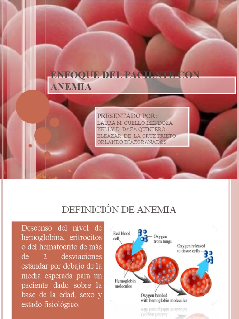Enfoque Del Paciente Con Anemia | PDF