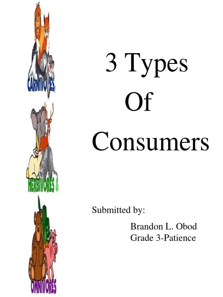 3 Types of Consumers: Submitted By: Brandon L. Obod Grade 3-Patience | PDF