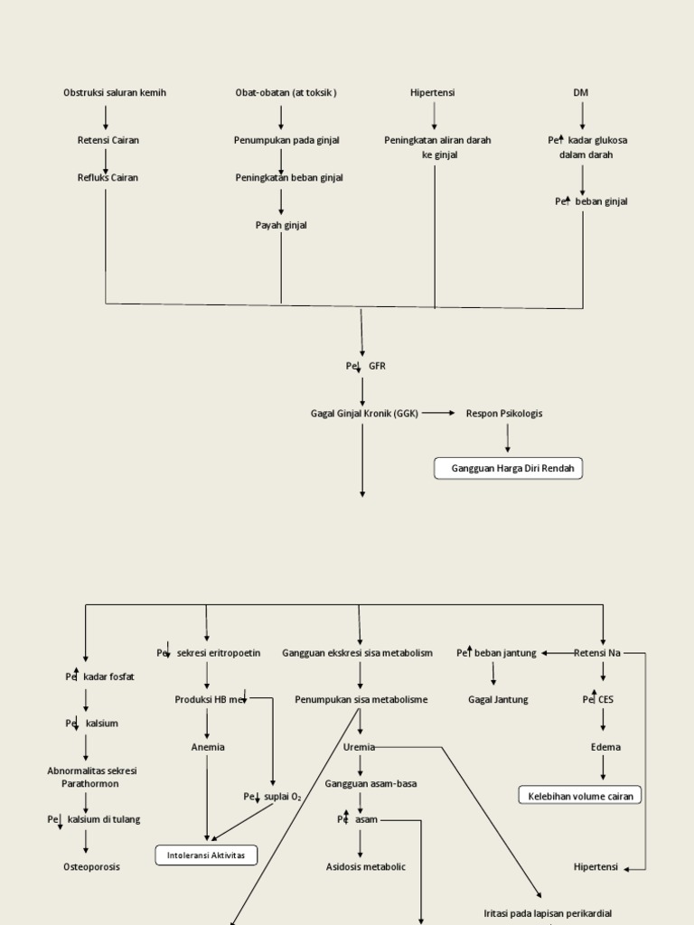 Pathway GGK (Gagal Ginjal Kronis) 5 | PDF