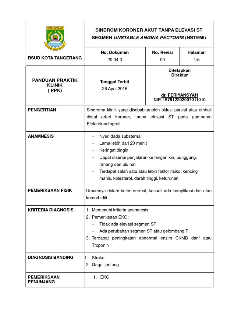 Panduan Diagnosis NSTEMI dan Terapi | PDF
