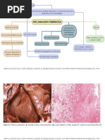 Diaz Apaza Anthony Jesus-Diascopia - Vitropresion | PDF ...