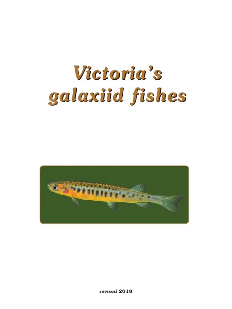 Galaxiid Fishes S | PDF | Wildfire | Habitat