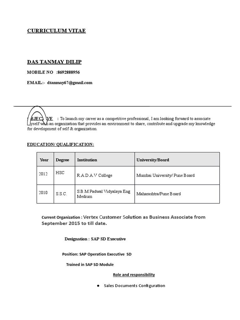 Curriculum Vitae Highlights SAP Experience | PDF | Sap Se | Invoice